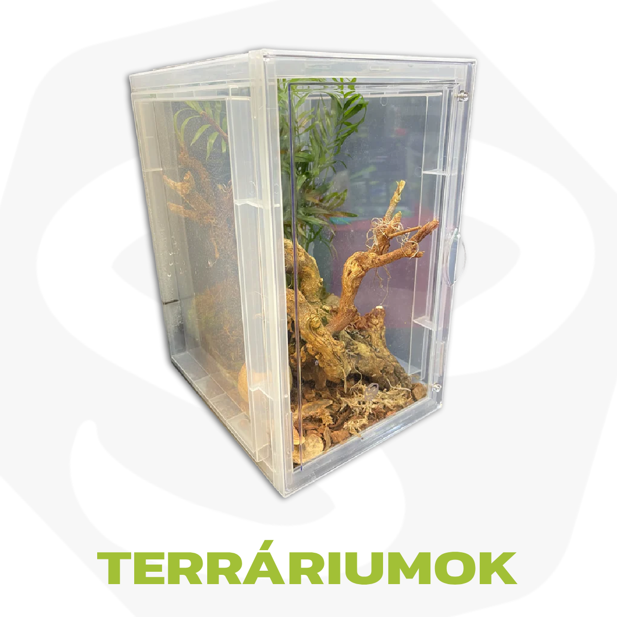 Terráriumok – Sindler Reptiles
